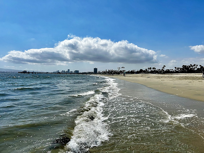 Long Beach's skyline watches over this sandy playground. City dogs need beach days too – just look at that pristine shoreline!