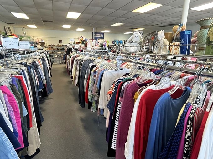 Neatly arranged clothing racks create a shopping experience that's both organized and surprisingly delightful. 