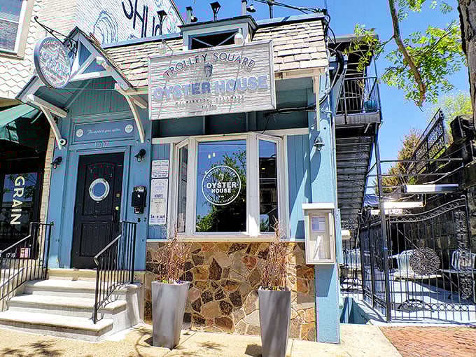 This quaint blue building houses some of Wilmington's finest oysters – a true hidden pearl in the city.