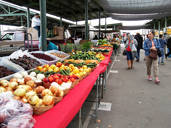 Farm-fresh produce displays that put grocery stores to shame – those tomatoes look like they have actual flavor.