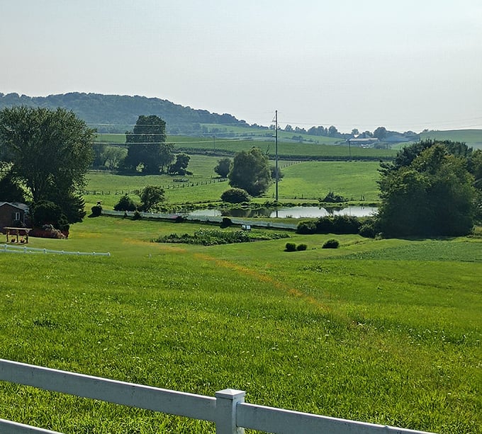 Rolling hills and peaceful ponds create Wilmot's stunning backdrop. This isn't just farmland—it's a masterpiece painted with shades of green that city folks pay therapists to visualize. 