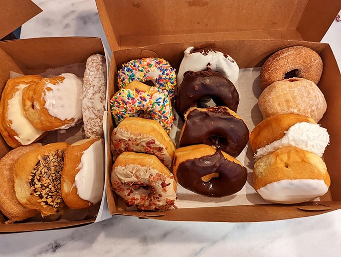 Donut heaven in cardboard form. Each one a different personality—from sprinkle-covered extroverts to the sophisticated chocolate-glazed intellectuals.