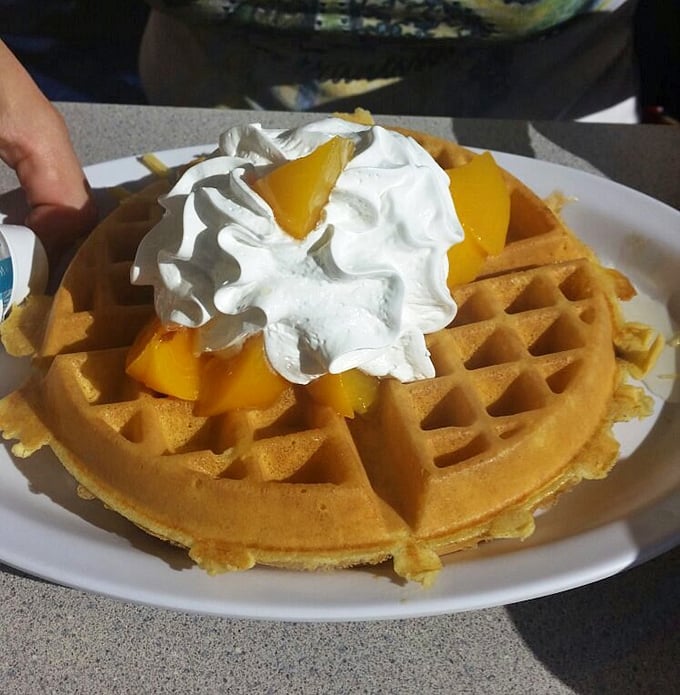 Behold the golden masterpiece that makes people drive across Florida – Belgian waffle perfection with whipped cream clouds.