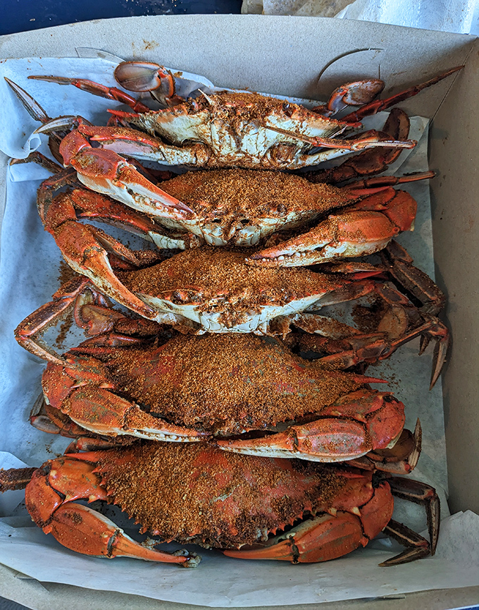 Blue crab perfection! These seasoned beauties aren't just food—they're an interactive experience that rewards the patient and punishes the hurried.