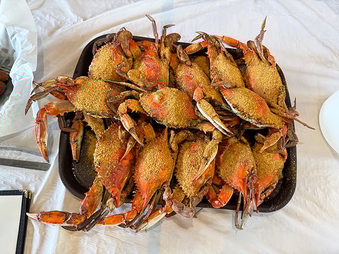 Blue crabs seasoned to perfection—nature's puzzle boxes filled with sweet rewards. Worth every minute of the delicious struggle to extract their treasures.