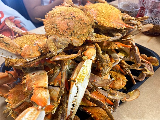 Maryland's edible treasures, piled high and dusted with that magical spice blend. The kind of feast that justifies wearing a bib as an adult.