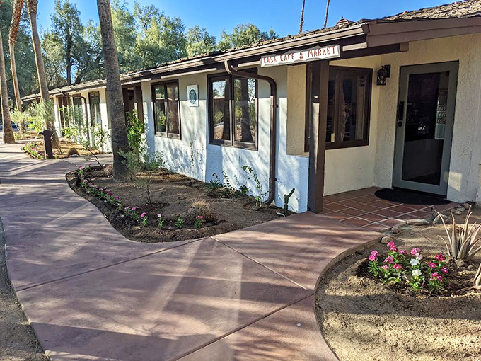 Casa Café America offers that quintessential desert charm – where every breakfast comes with a side of mountain views.