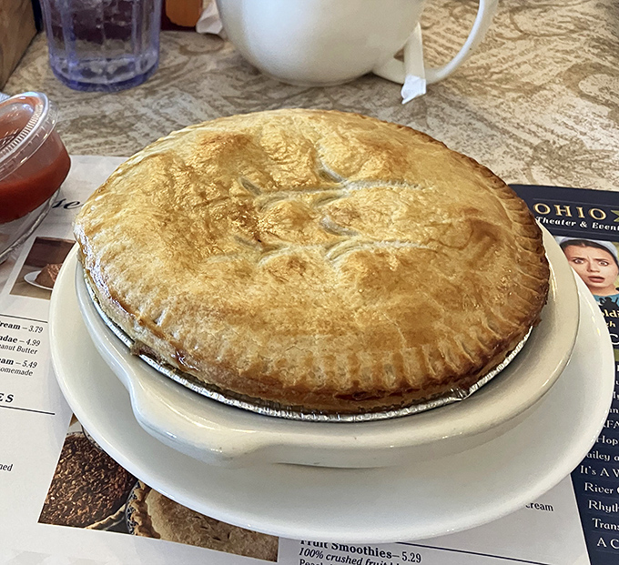 Golden, flaky, and practically whispering your name—this chicken pot pie isn't just dinner, it's edible architecture with a steam-releasing drama when pierced.