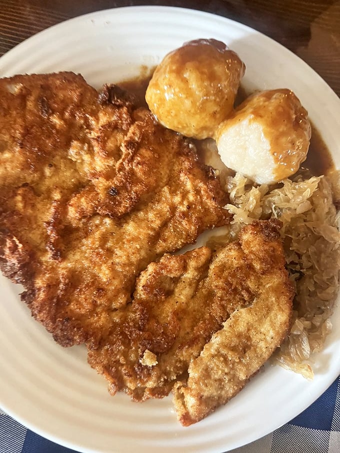 Golden-brown schnitzel that's audibly crispy paired with potato dumplings and sauerkraut—proof that Florida's best surprises don't always come with sand and surf.