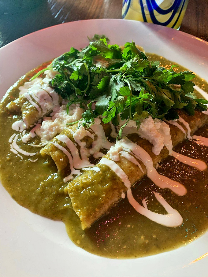 Behold the masterpiece: chicken enchiladas that have turned countless visitors into devoted pilgrims of perfect Mexican cuisine.