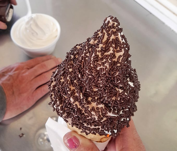Chocolate ice cream elevated to art form. Those sprinkles aren't just toppings—they're the confetti at your personal ice cream celebration.