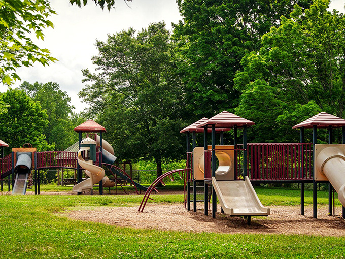 Even the playground equipment in Dahlonega seems to whisper, "Slow down and stay awhile," nestled among towering trees and verdant grass.