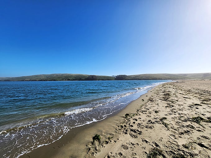 Coastal living at its finest—where your morning commute might include dodging waves and your neighbors are seagulls with attitude.