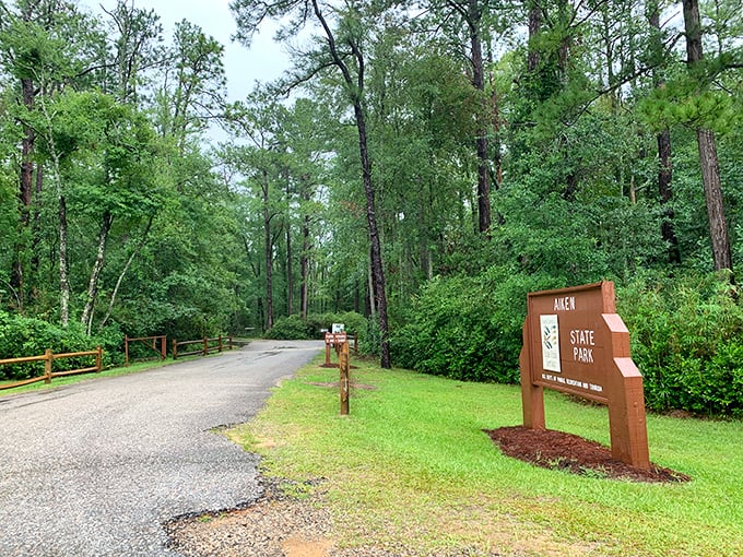 The road less traveled actually has signs. This welcoming entrance to Aiken State Park promises adventures without requiring satellite navigation or survival skills.