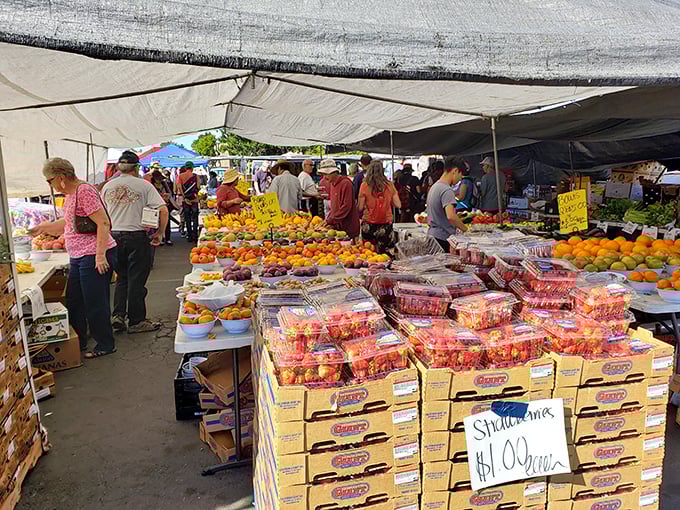 Nature's candy store! Fresh produce bursting with color makes grocery shopping feel like a treasure hunt rather than a chore. 