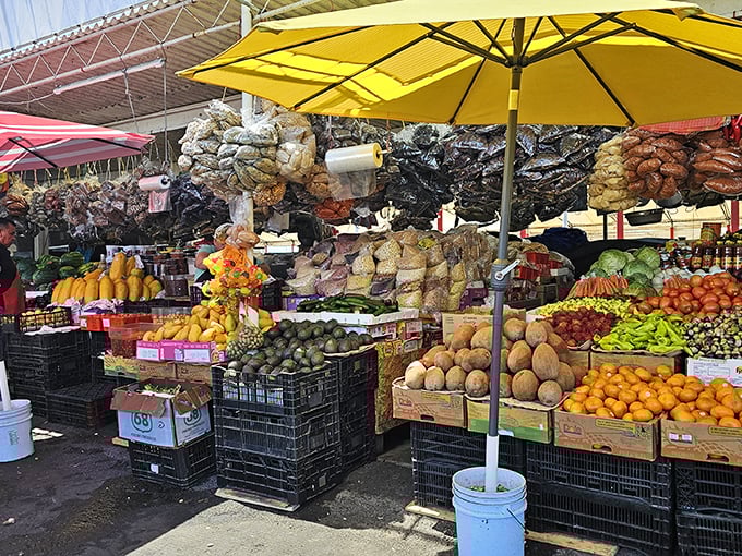 Nature's color palette on full display. These fruits and vegetables didn't get the memo about inflation—they're still priced like it's 1995.