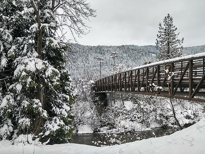 Winter transforms Quincy's wooden footbridge into something straight out of a Hallmark movie—minus the predictable plot and plus genuine small-town charm.