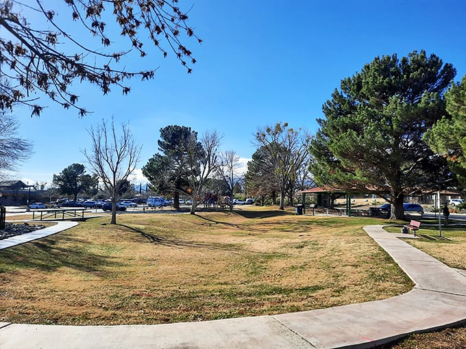 Winding paths through Garrison Park invite leisurely strolls and impromptu picnics. Nature's air conditioning courtesy of those magnificent shade trees.