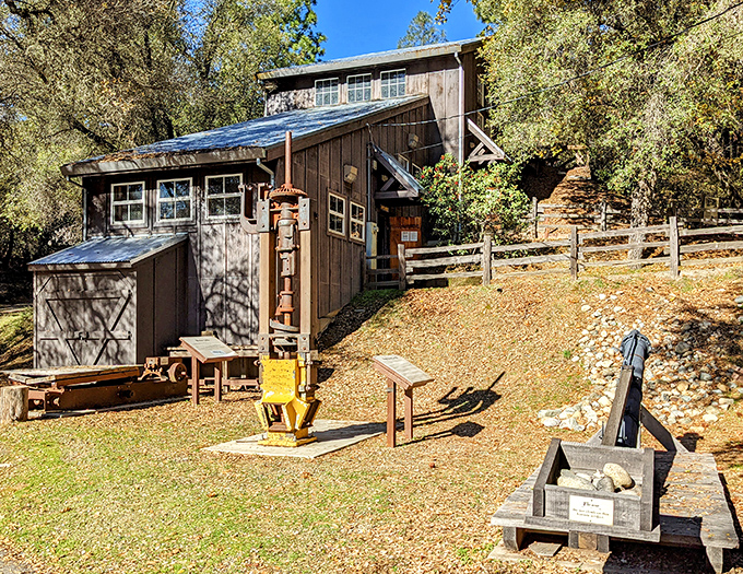 Gold Bug Park preserves mining history with rustic charm—like stepping into a History Channel special, minus the dramatic narrator and plus actual authenticity.