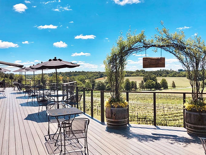 Sipping wine on Grandview Vineyard's deck isn't just about the cabernet—it's about drinking in that rolling countryside view that no painting could capture.