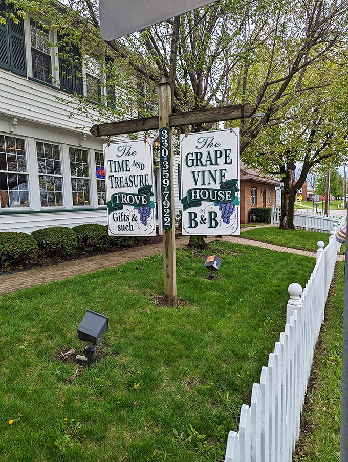 The Grape Vine House stands ready to welcome guests seeking authentic hospitality over corporate efficiency.