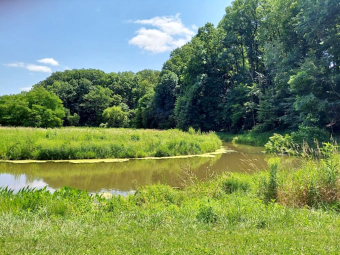 Summer's green embrace surrounds this tranquil pond. The kind of place where your blood pressure drops with each passing minute.