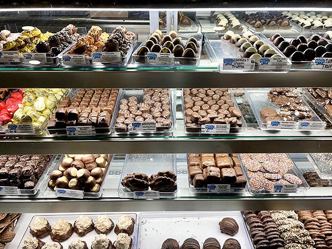Chocolate paradise arranged in gleaming rows—proof that organization skills and confectionery arts can indeed coexist beautifully.