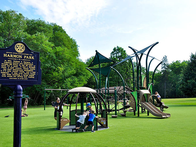 Harmon Park's playground looks like it was designed by someone who actually remembered what it's like to be a kid—imagination included, no batteries required.