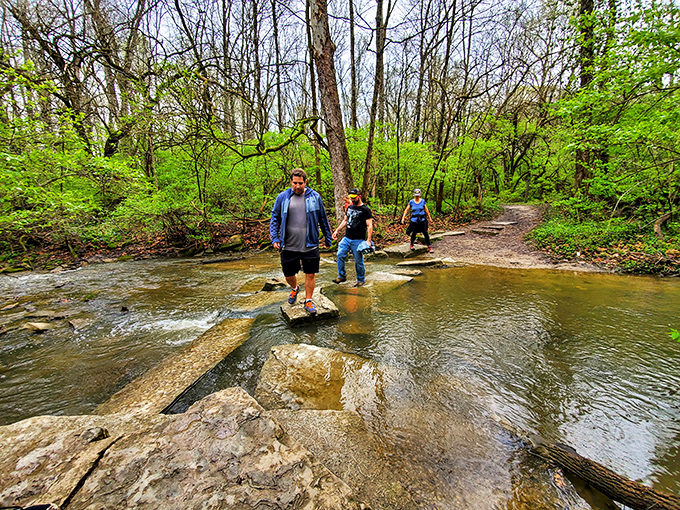 Nature trails wind through lush forests, offering the perfect digestive walk after indulging in too much pie.