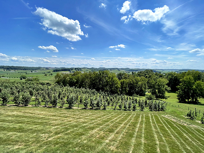 Mother Nature showing off her landscaping skills – meticulously terraced fields that would make any suburban lawn enthusiast question their life choices.