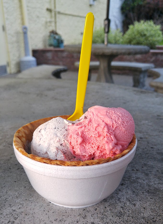Two perfect scoops nestled in a waffle bowl—proof that sometimes the simplest pleasures are the most profound.