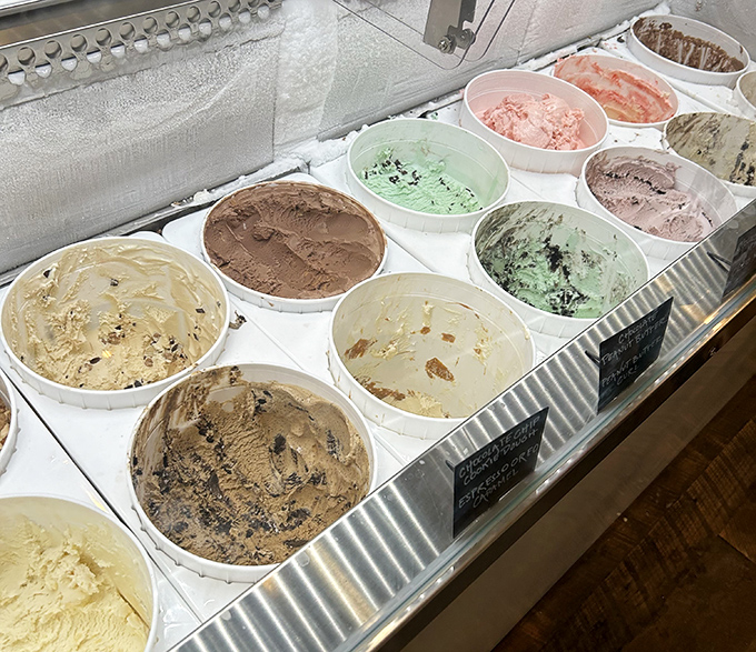 A treasure trove of frozen happiness awaits in these tubs. Each scoop contains more joy than most people experience during tax season.