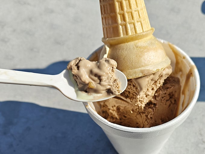 This isn't just ice cream—it's a spoonful of childhood nostalgia in a cup, complete with those magical little chocolate flecks that whisper "homemade." 