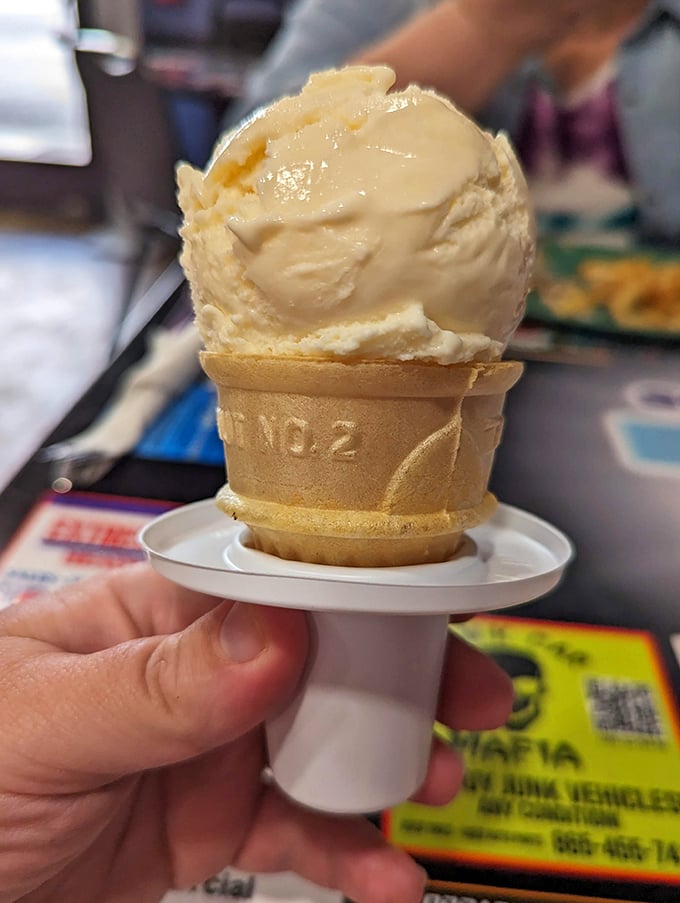 Vanilla ice cream that actually tastes like something! This isn't your sad grocery store variety—it's the creamy protagonist in your dessert story.