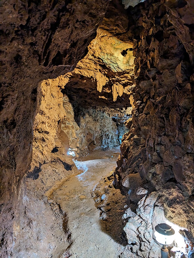 Mother Nature's hallways put our home renovations to shame. These passageways have been under construction since dinosaurs roamed above.