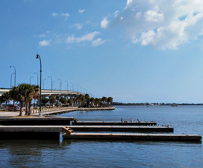 The Jensen Beach Causeway isn't just a road—it's the runway for your vacation takeoff, with pelicans serving as the welcoming committee.