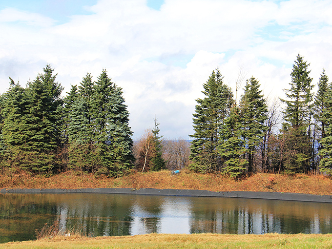 Mirror-like waters reflect towering evergreens, creating a double dose of tranquility at one of the park's serene fishing spots.