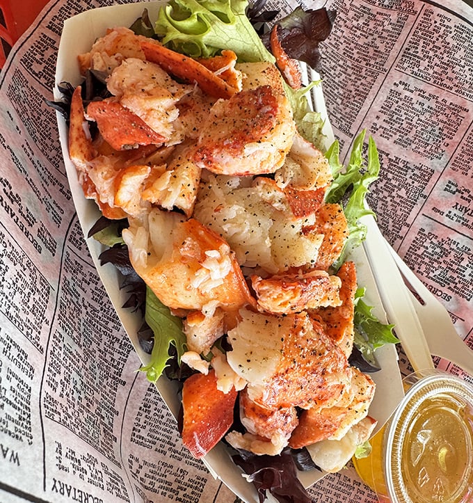 Chunks of lobster so generous they're practically showing off. This isn't seafood with an identity crisis—it knows exactly what it is.