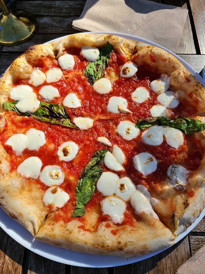 The Margherita pizza—pizza in its purest form. Those pools of melted mozzarella catching sunlight like little dairy galaxies.