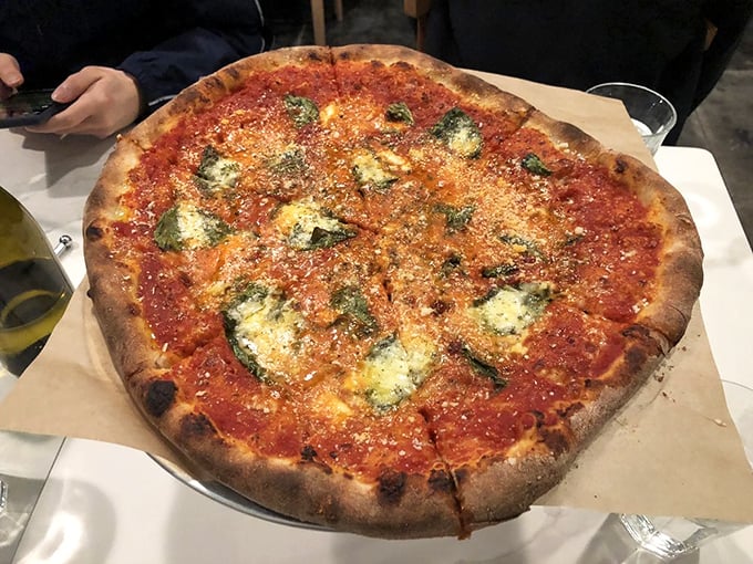 Behold the Margherita—where tomato sauce gleams like rubies, mozzarella pools in creamy islands, and basil adds verdant punctuation marks to this edible masterpiece.