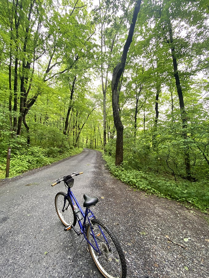 Nature's gym membership comes free with every Milford visit. This tree-canopied trail practically begs for your sneakers or bike tires.