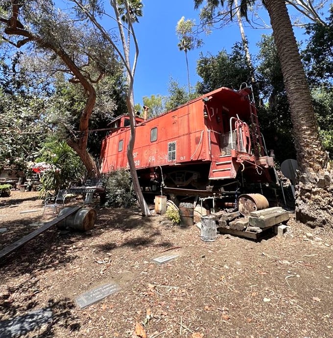 Not your average backyard feature—a vintage red caboose nestled among palm trees. California dreaming with a railroad twist!