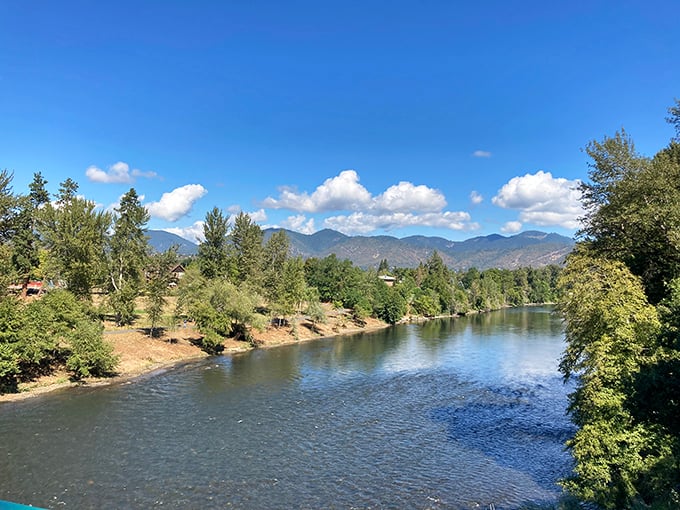 The Rogue River flows with the confidence of someone who knows exactly where they're going. Mountains stand guard like patient sentinels over the valley.