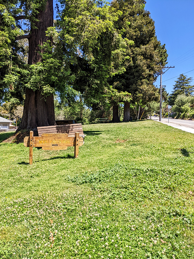 Noble Gulch Park's towering redwoods offer a shady respite where you can contemplate life's big questions—like why you don't live here already.