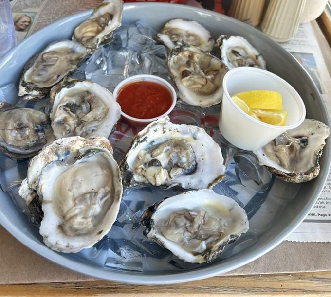 These glistening oysters aren't just seafood—they're time capsules of the Delaware Bay, served with a splash of oceanic poetry.