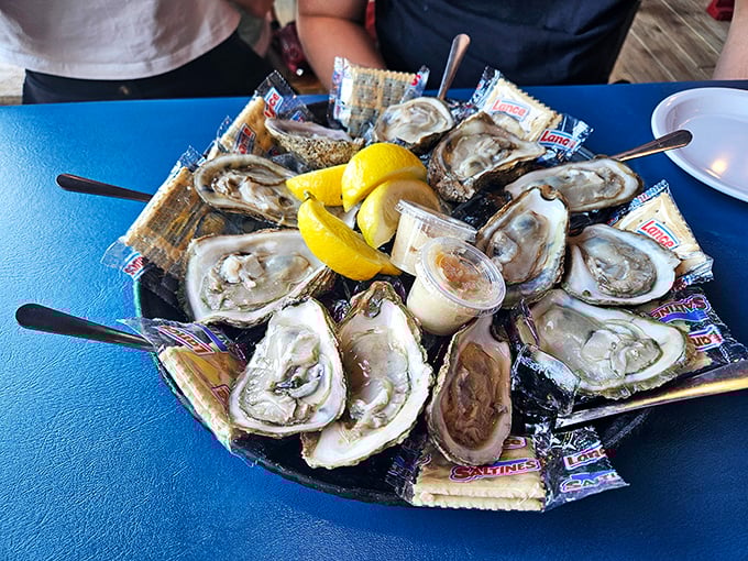 Fresh oysters arranged like edible pearls – briny, cold, and perfect enough to make Neptune jealous.
