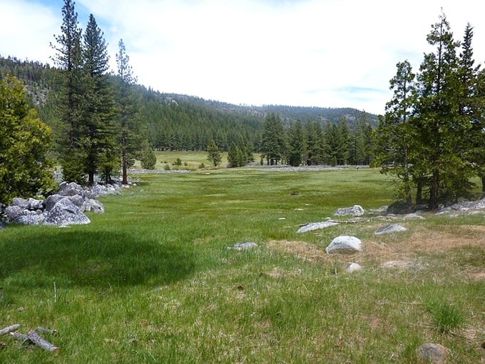 Alpine meadows that look like they're auditioning for "The Sound of Music." The park's open valleys provide breathing room amid the dense forest surroundings.