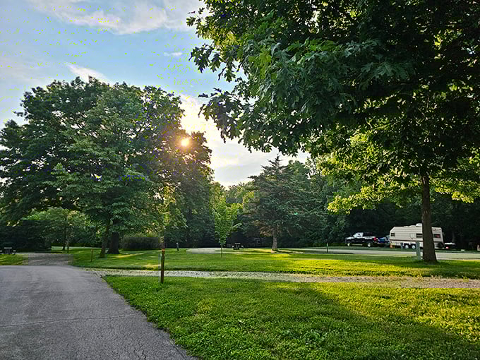Golden hour transforms ordinary campgrounds into something magical. Even the trees seem to stand a little taller in this light.