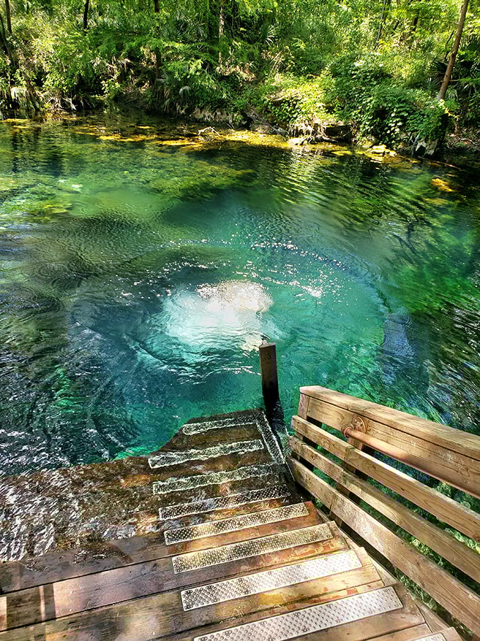 Mother Nature showing off her best work—water so clear it looks Photoshopped, but it's 100% authentic Florida magic.