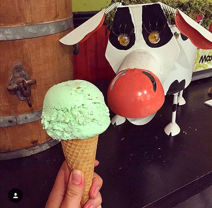 That pistachio scoop isn't just green—it's a verdant promise of nutty perfection posing with its bovine companion.